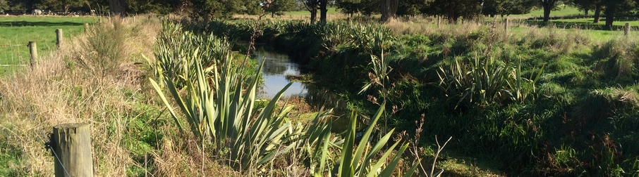 Freshwater farm plans for lifestyle blocks - Northland Regional Council