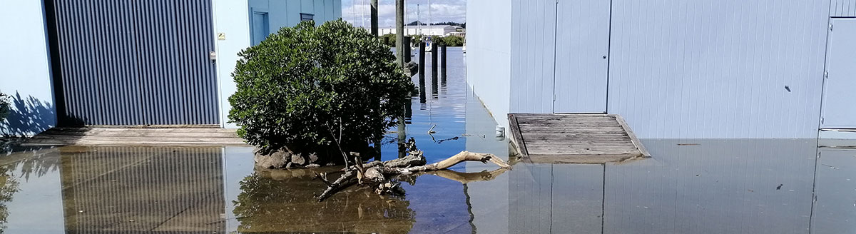 King tides Taitokerau - Northland Regional Council
