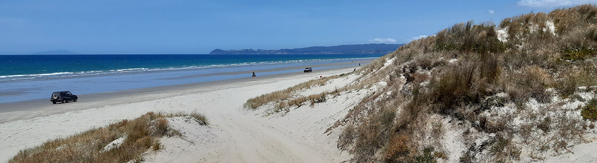 Vehicle restricted areas on beaches - Northland Regional Council