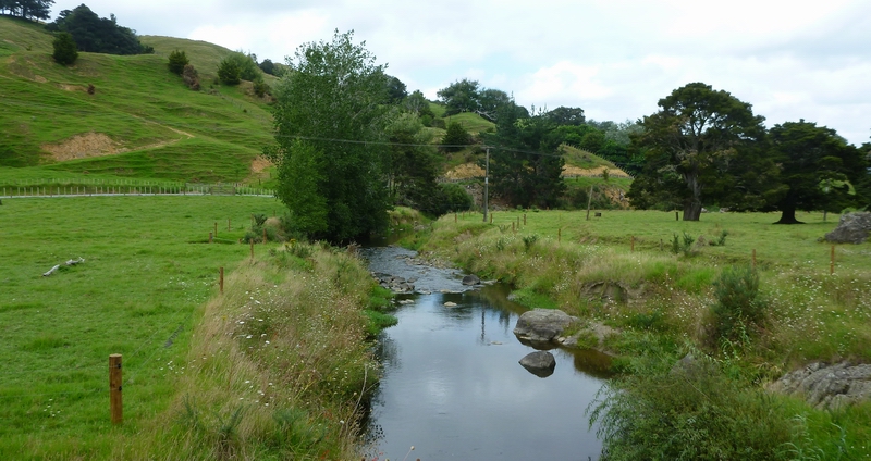 Waterway fencing fast-tracked : Case study - Northland Regional Council
