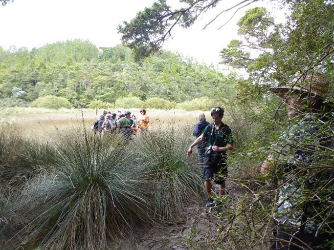 Teamwork makes the dream work - Story - Northland Regional Council