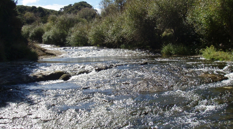 Media releases - Northland Regional Council - Hakaru River wins ...