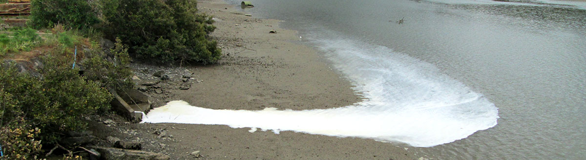 NRC Incident Hotline - Northland Regional Council