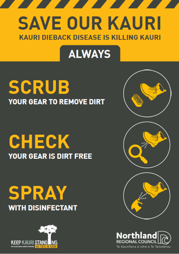 Kauri protection - Northland Regional Council