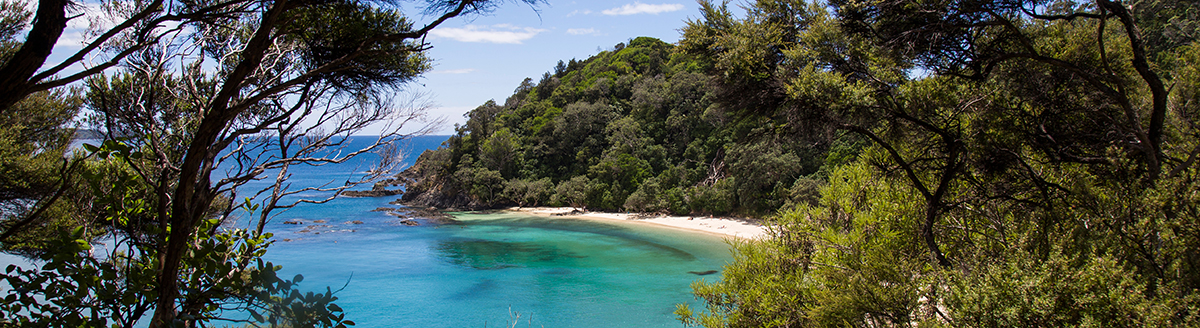 Draft User Fees & Charges 2025/26 - Northland Regional Council