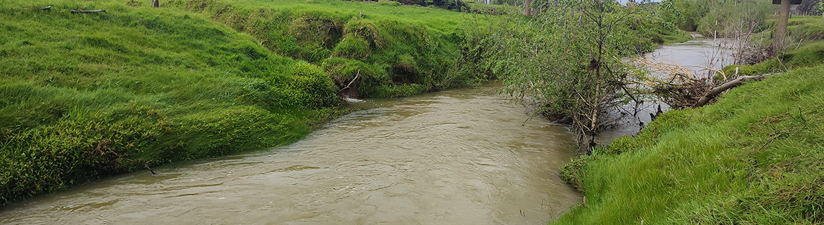 The current state of our freshwater - Northland Regional Council