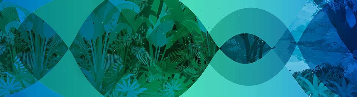 Te Mahere Roa | Long Term Plan 2024-2034 - Northland Regional Council