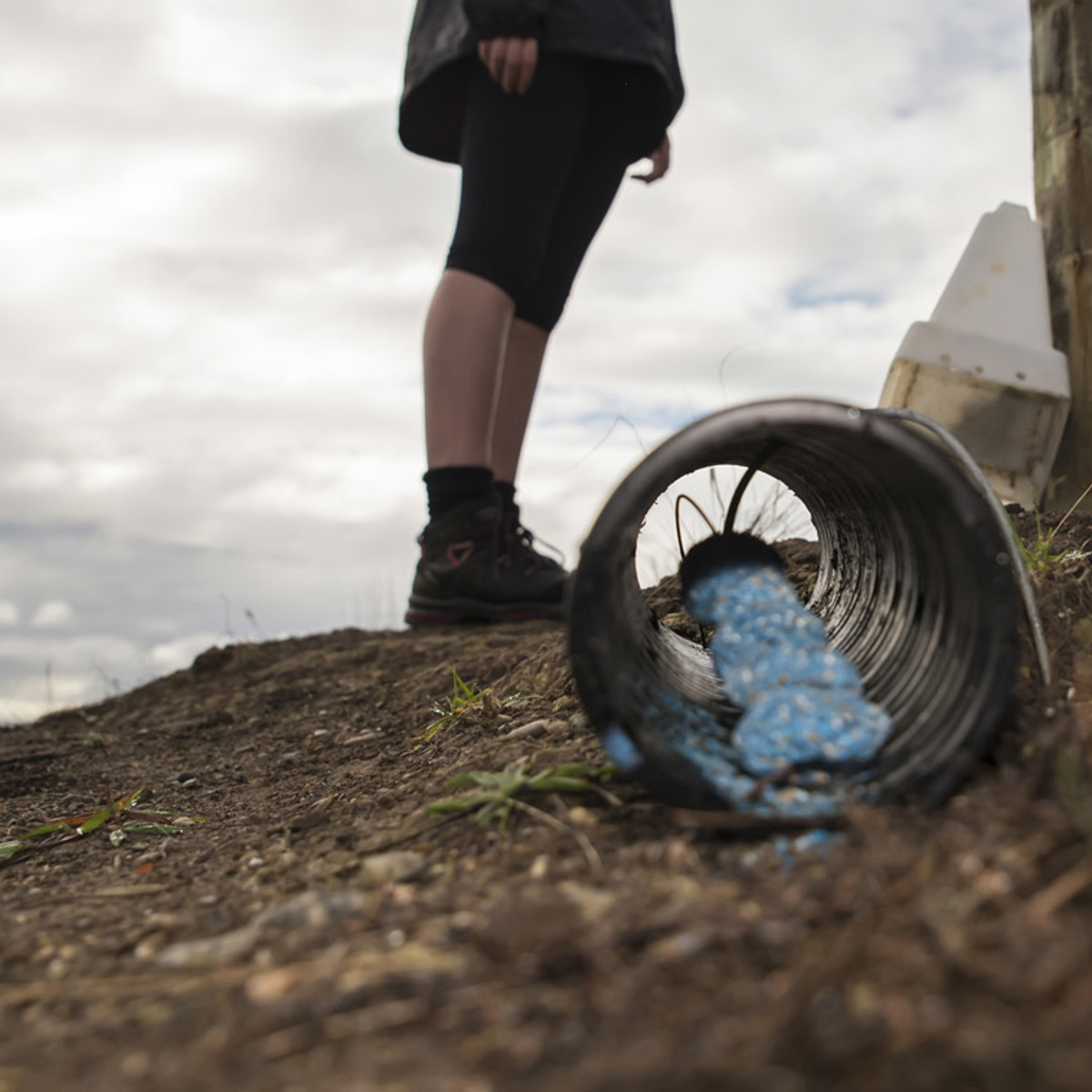 Story - Northland Regional Council